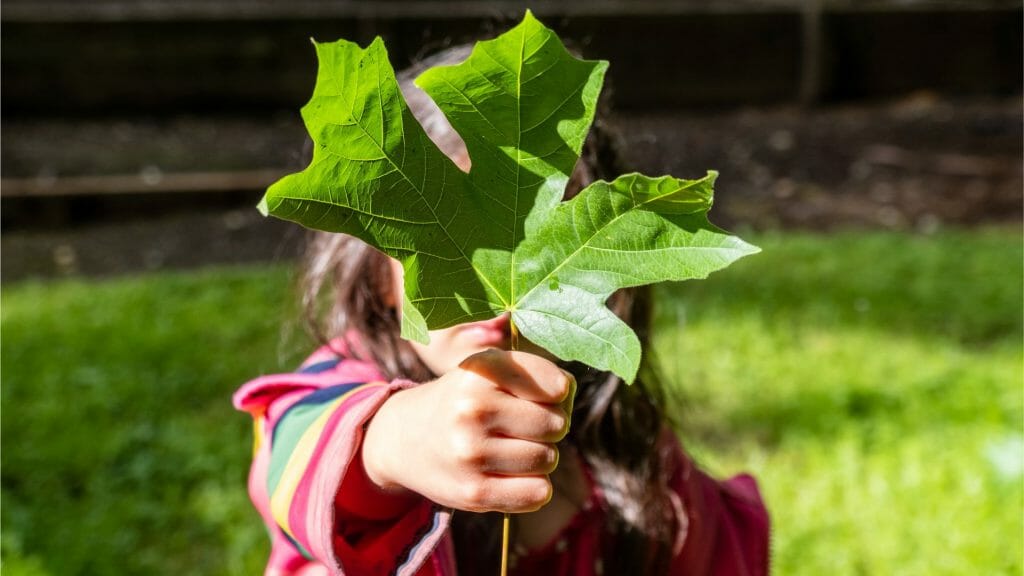 What is a Biodigester Toilet? A Practical Overview from RISE
