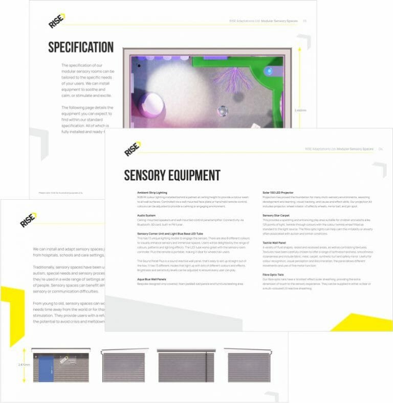 What is The Purple Pound and How Can My Business Benefit? | RISE